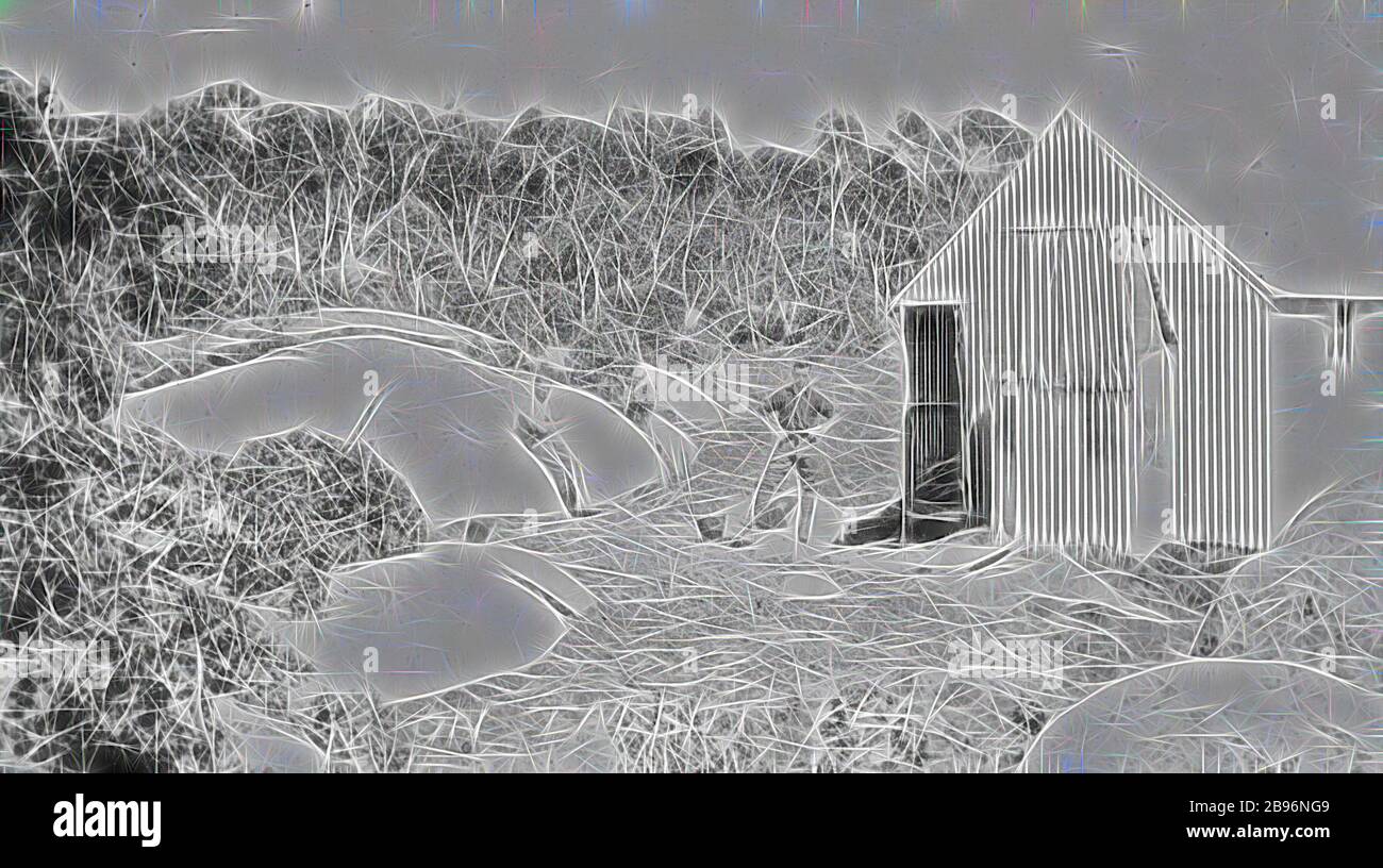 Negative - Bushwalker at Mount Talbot, Victoria, 1919, Bushwalker ...