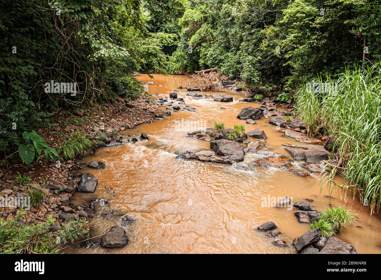 Saudades River with muddy water. Modelo, Santa Catarina, Brazil Stock ...