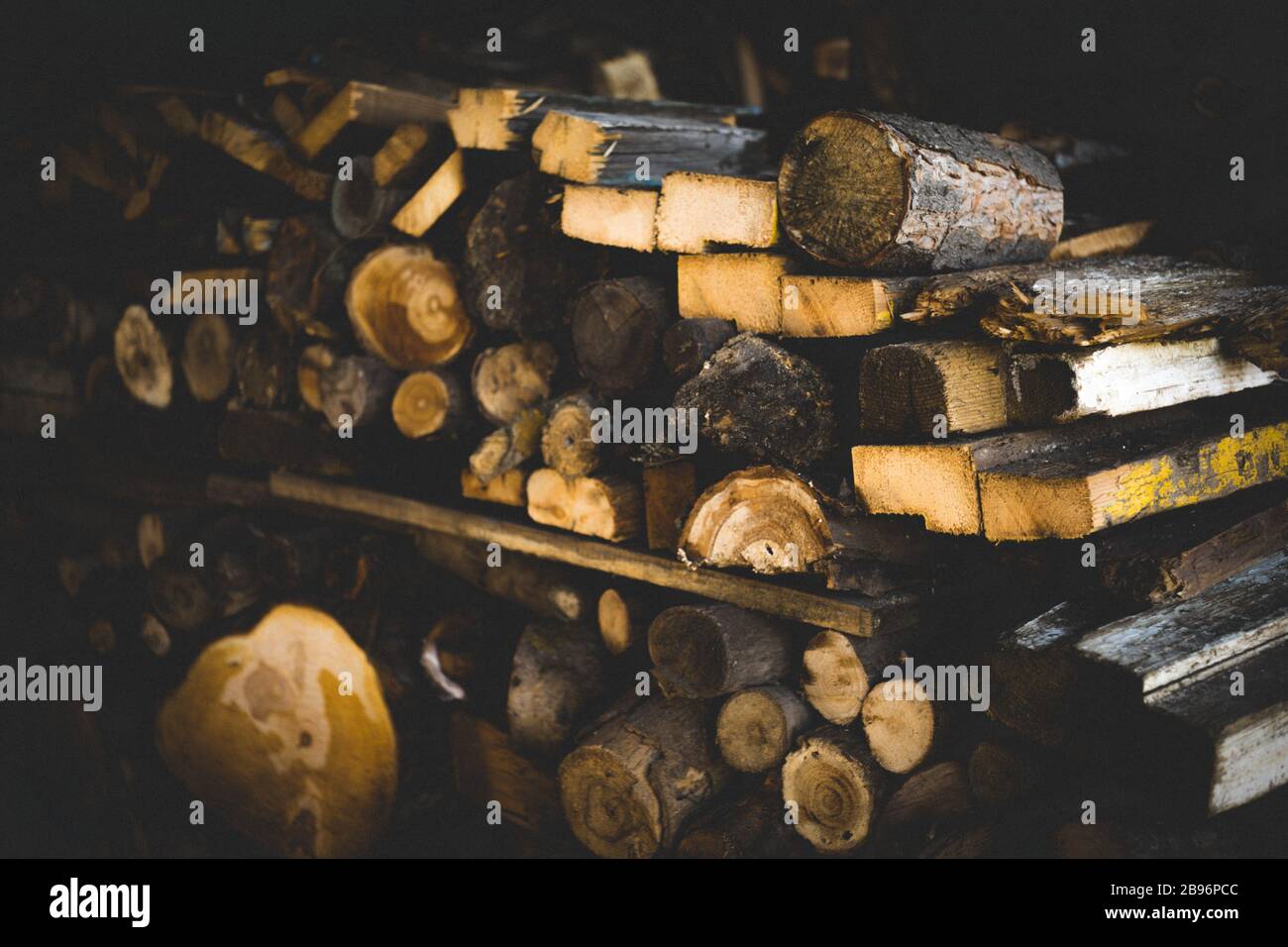 Firewood in the barn. Different types of wood Stock Photo - Alamy