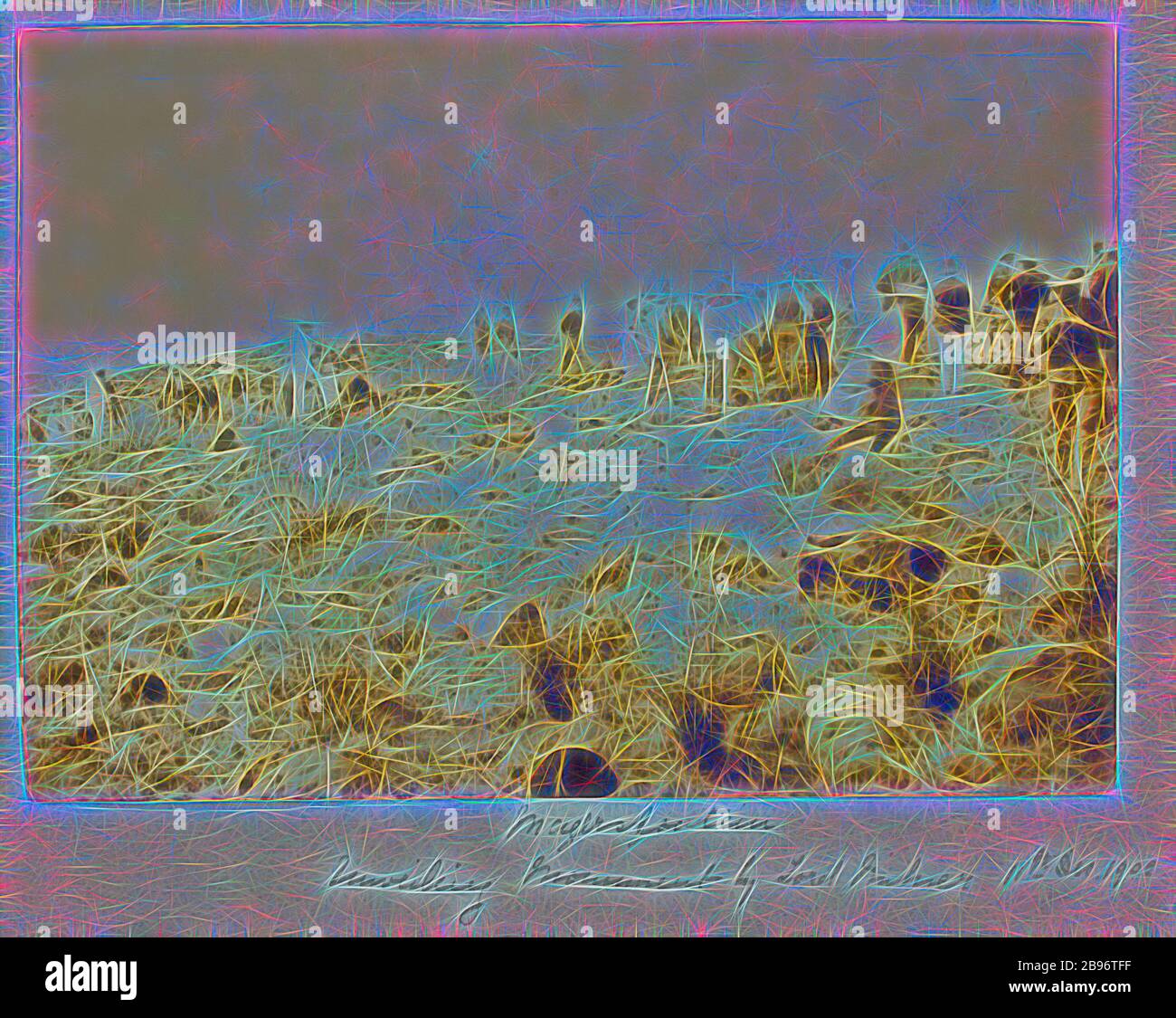 Photograph - Magersfontein Memorial Unveiling, South Africa, Dec 1902 ...