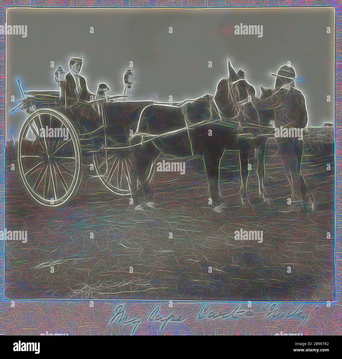 Photograph - 'My Cape Cart' Horse & Carriage, South Africa, circa 1902 ...