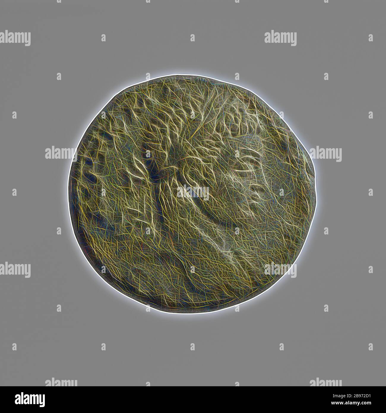 Tetradrachm of Elegabalus, Unknown, Antioch, Syria, 1st–3rd century A.D ...