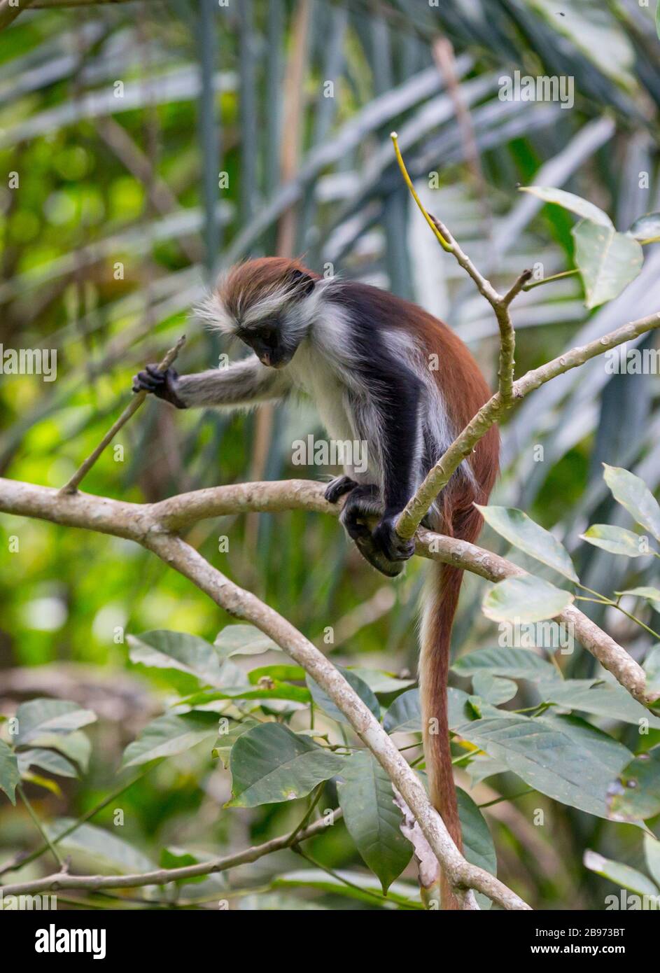 Colombus park hi-res stock photography and images - Alamy