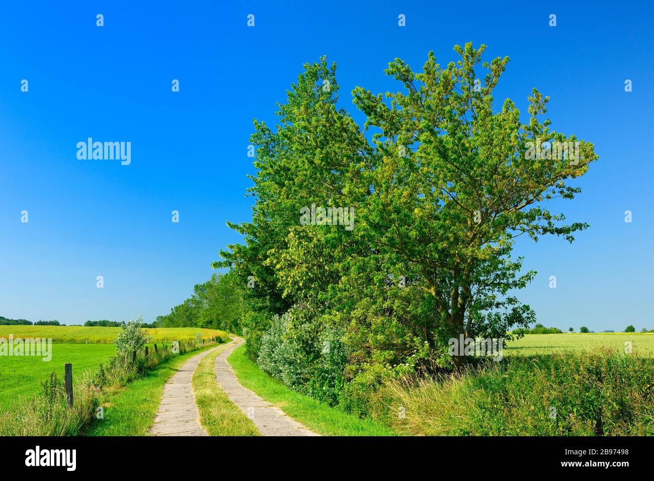 Fields spring blue sky hi-res stock photography and images - Alamy