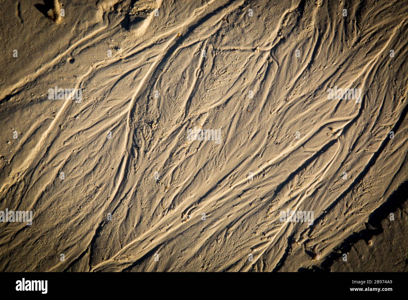 Abstract background with wet sand on sea shore Stock Photo - Alamy
