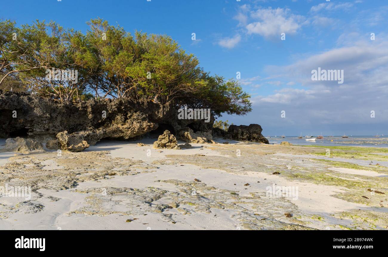 Ocean shore after low tide in morning time Stock Photo - Alamy