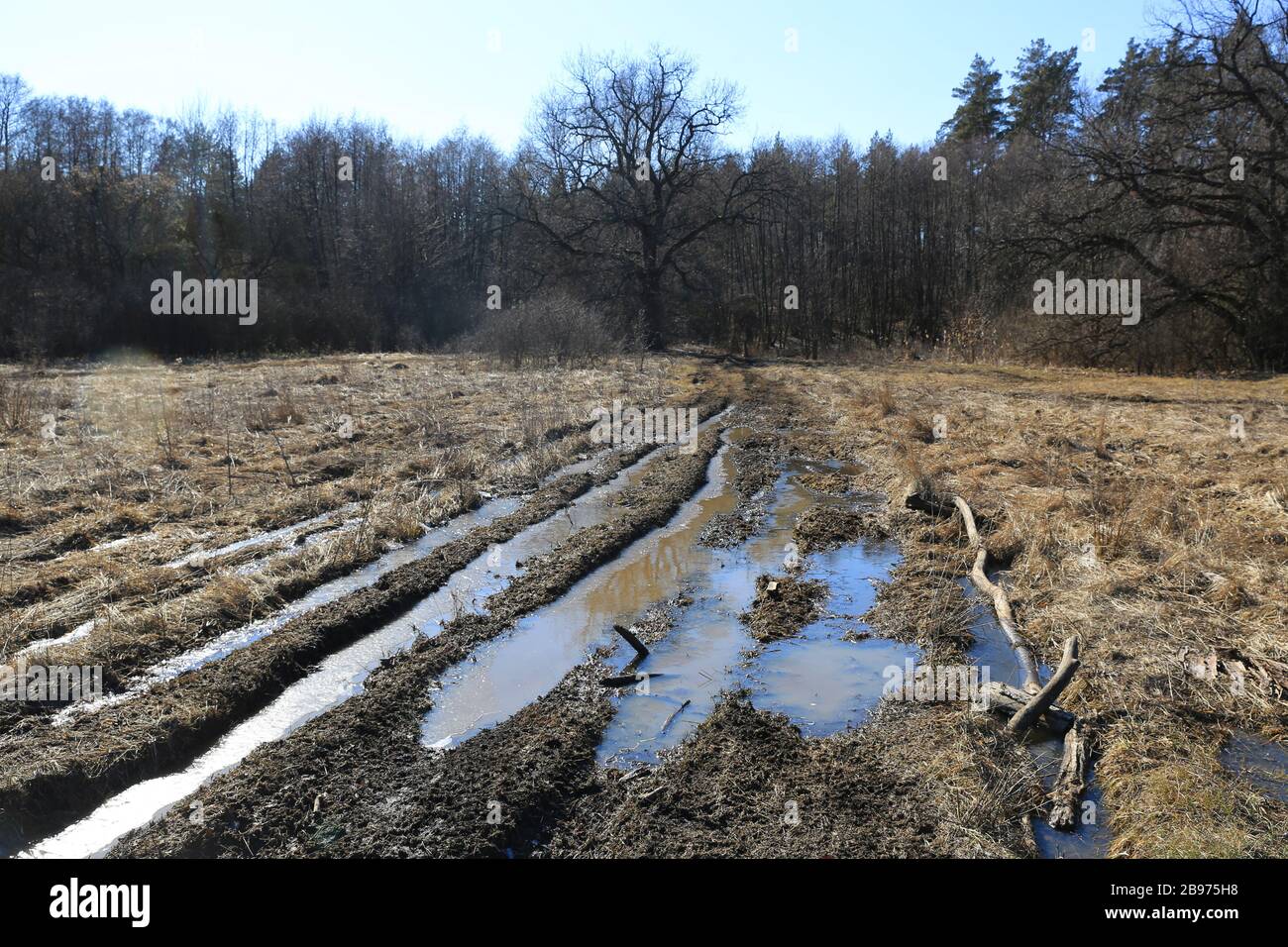 flooded root road on spring meadow Stock Photo - Alamy