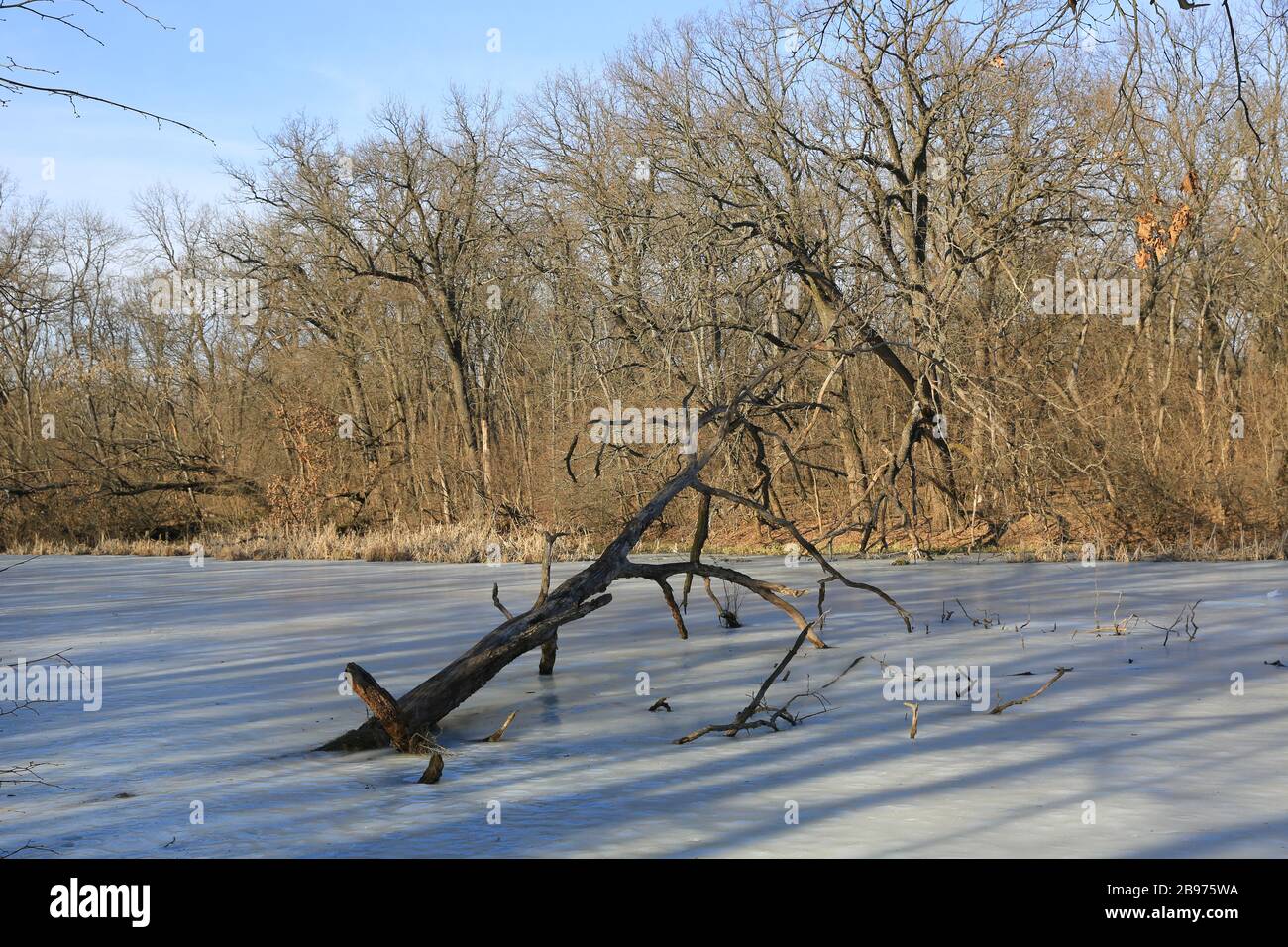 Broken ice on frozen pond hi-res stock photography and images - Alamy