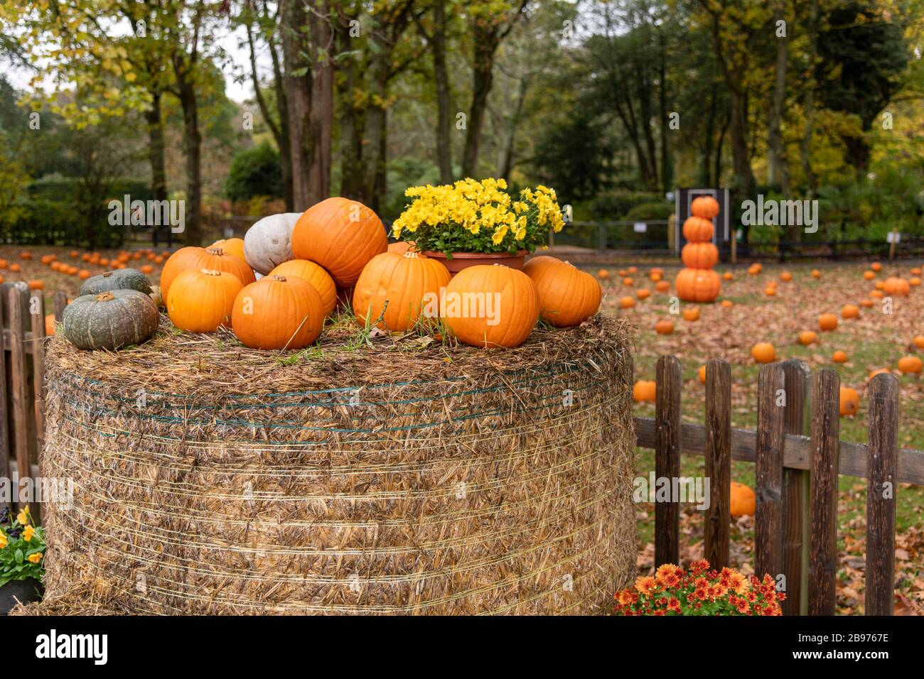 Sweeping a field hi-res stock photography and images - Alamy