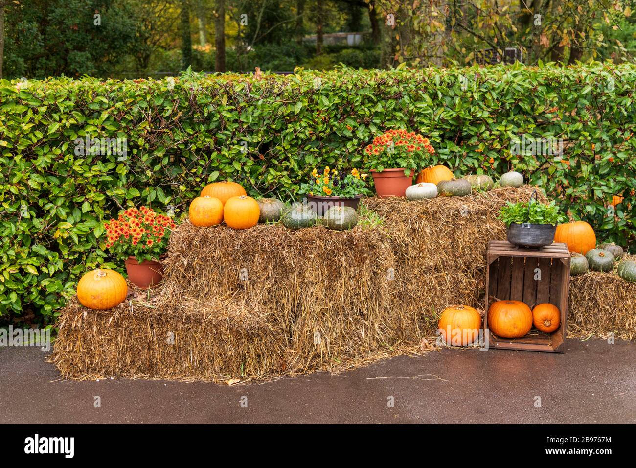 Sweeping a field hi-res stock photography and images - Alamy