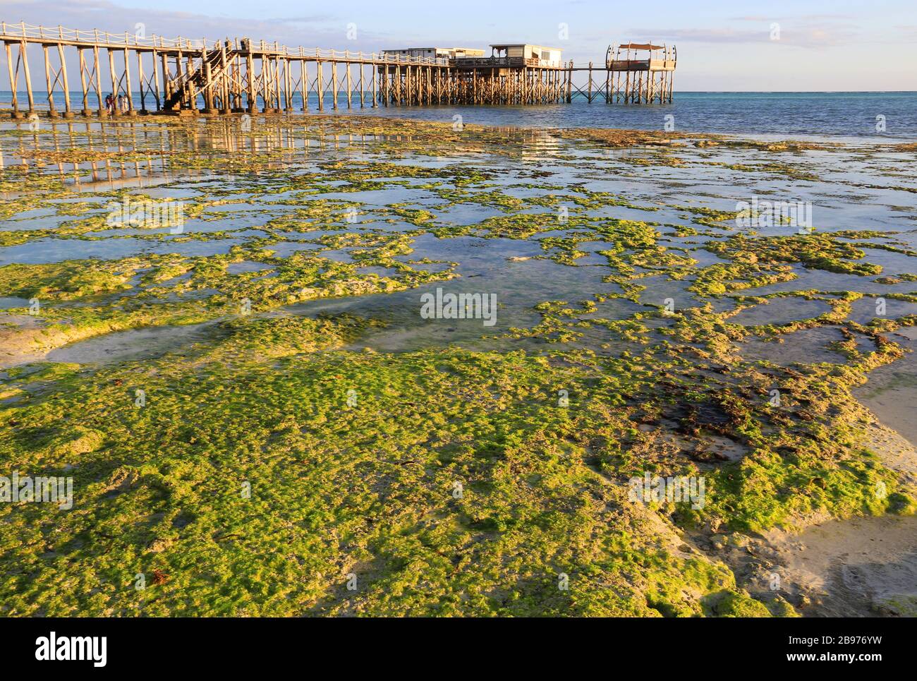 low tide scene on morning ocean shore Stock Photo - Alamy
