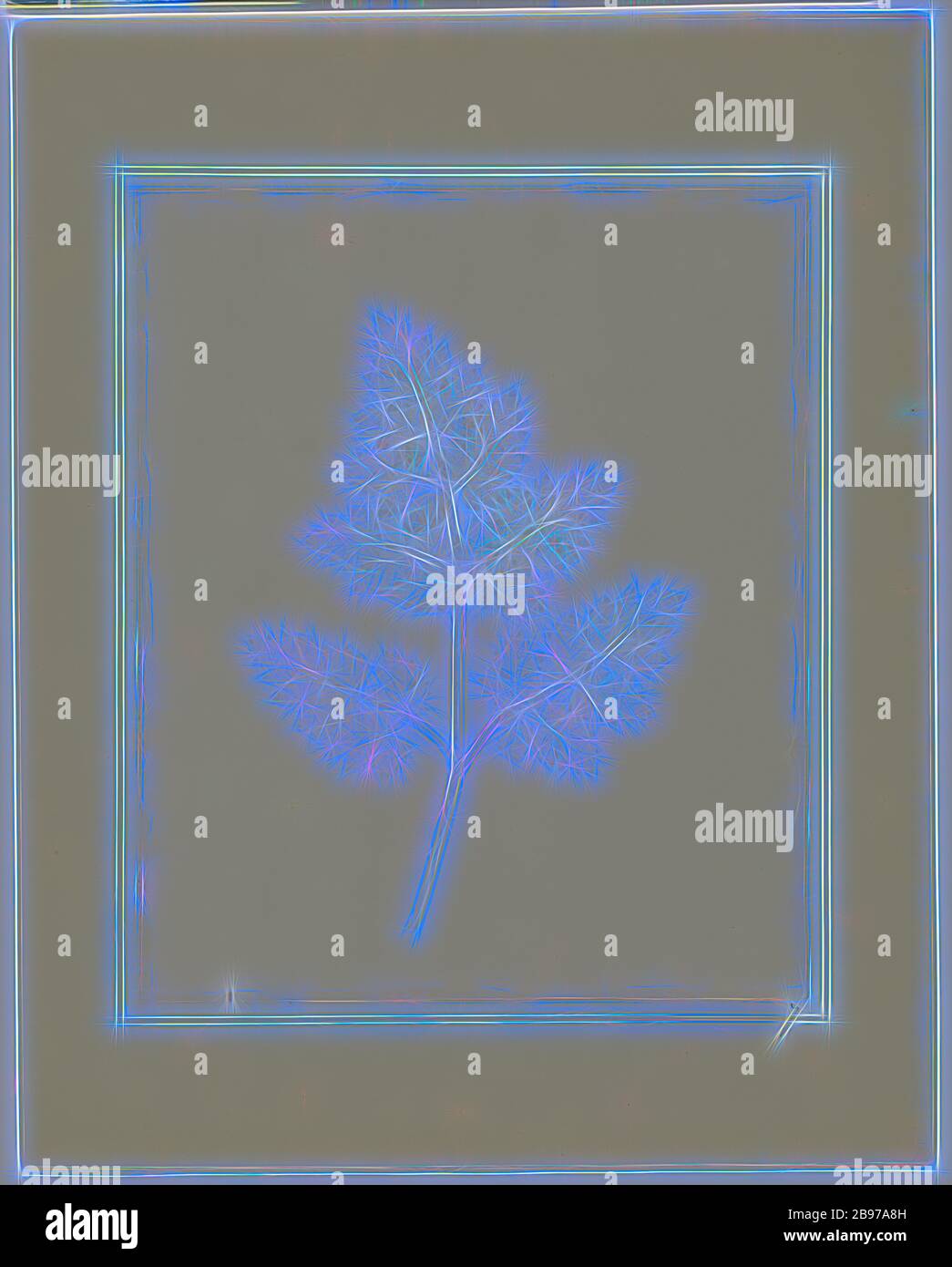 Leaf of a Plant, William Henry Fox Talbot (English, 1800 - 1877 ...