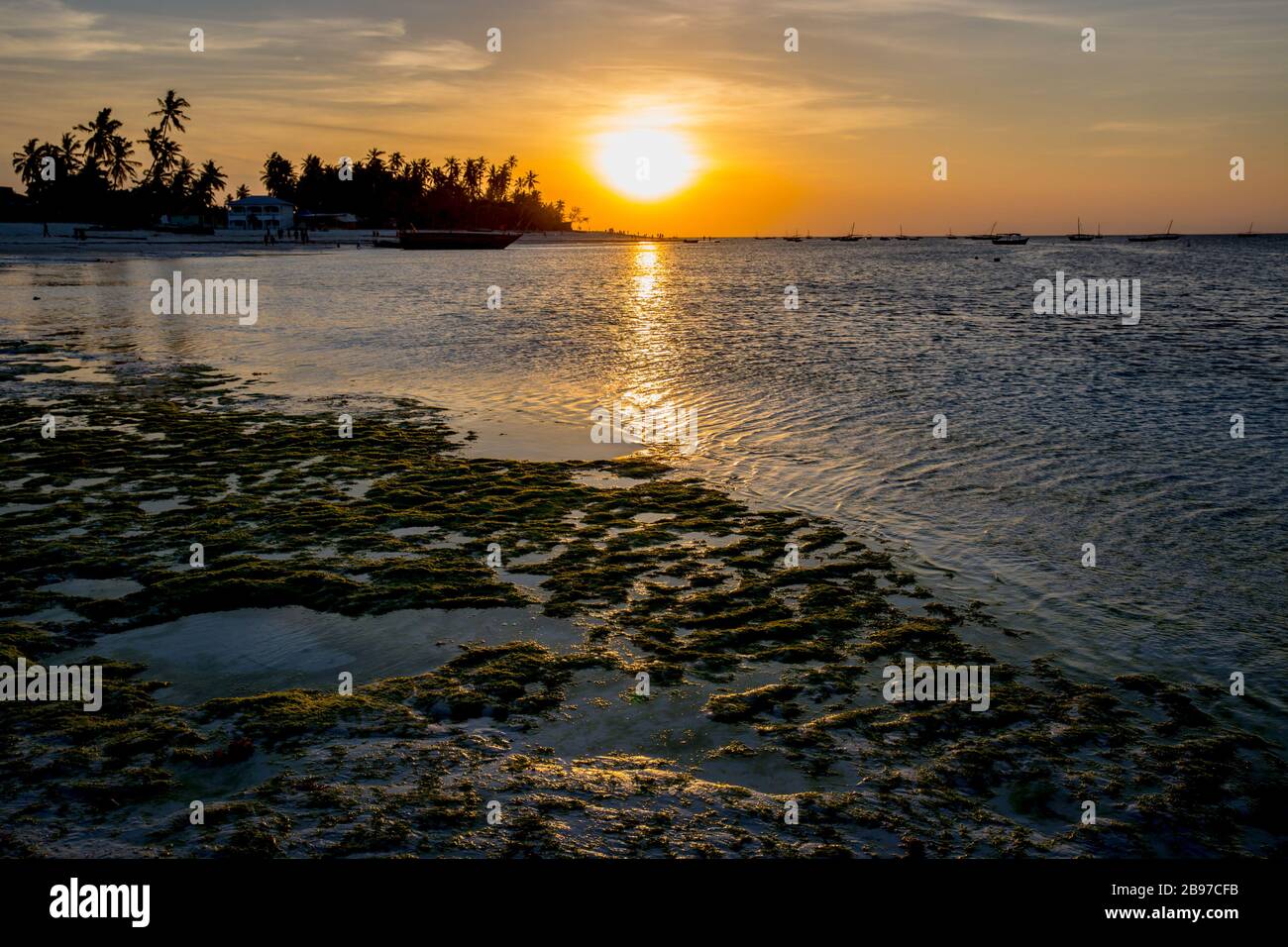 Sunset landscape on ocean shore Stock Photo - Alamy