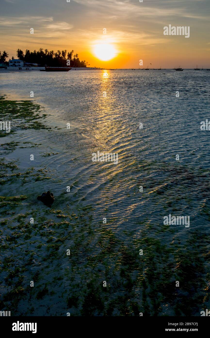 Nice sunset scene on ocean shore Stock Photo - Alamy
