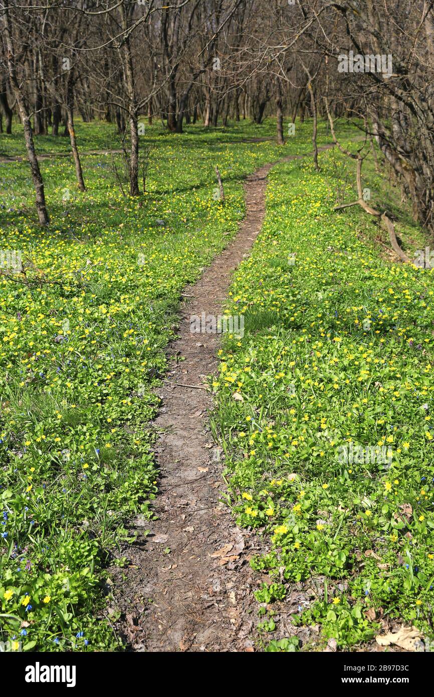 Pathway across hi-res stock photography and images - Alamy