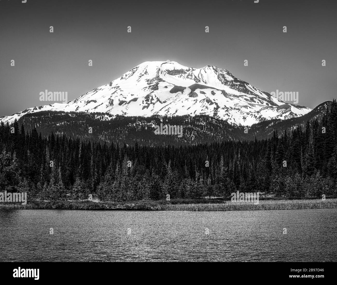 Mountain forest wilderness in Black and White Stock Photos & Images - Alamy