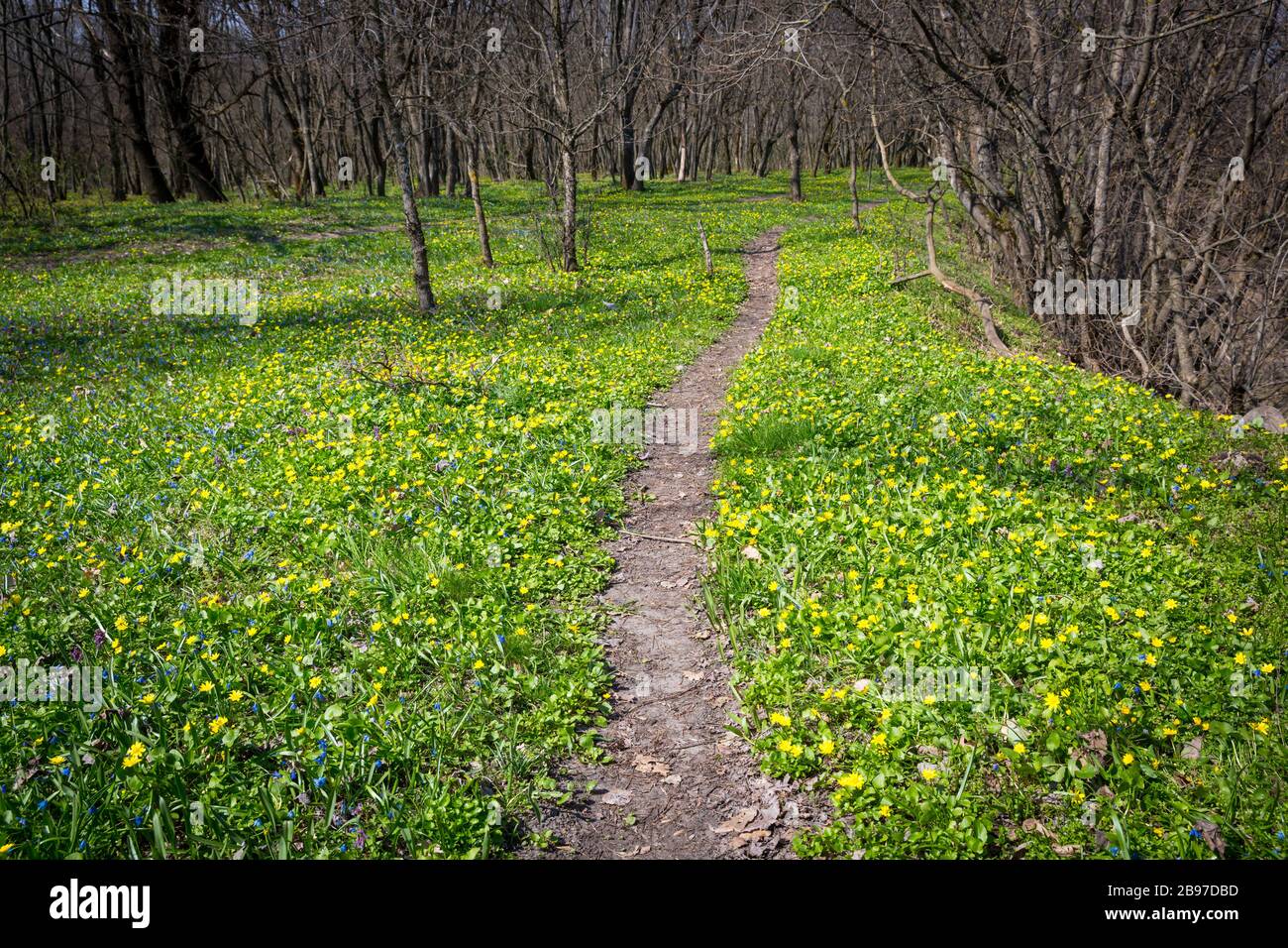 Pathway across hi-res stock photography and images - Alamy