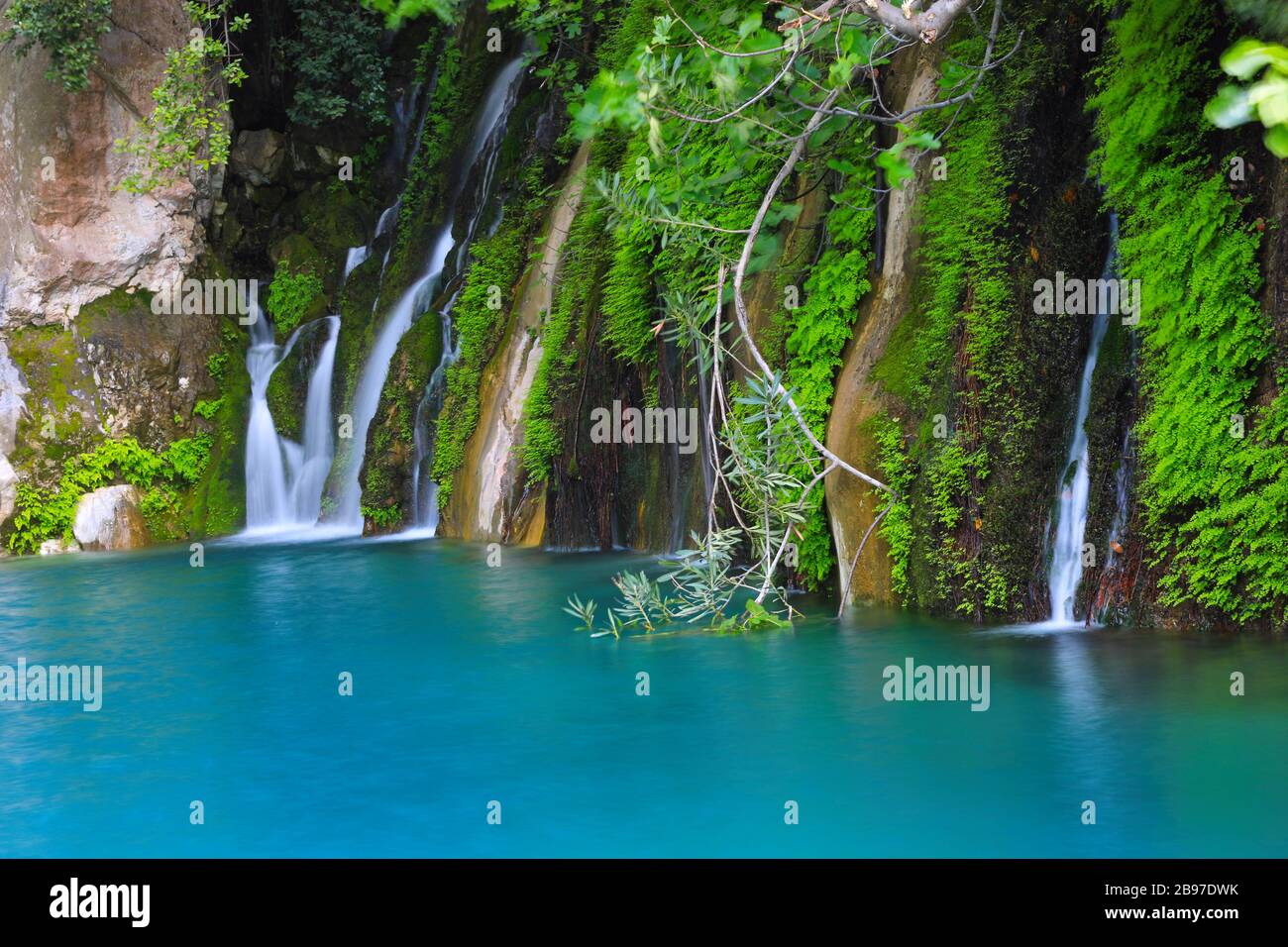 Nice smooth green hi-res stock photography and images - Alamy