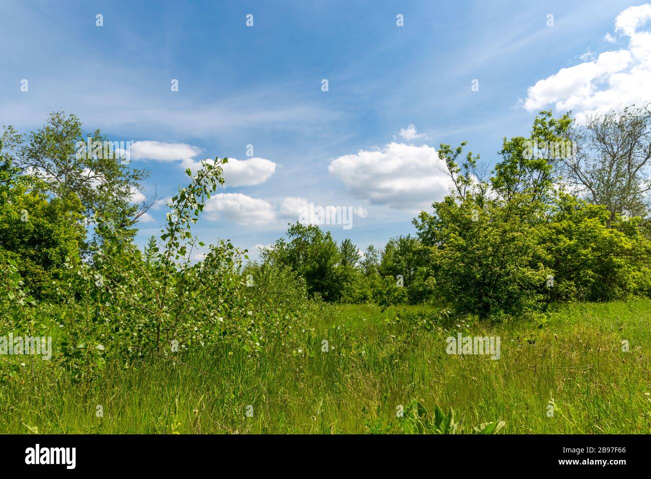 Nice summer landscape in hi-res stock photography and images - Alamy
