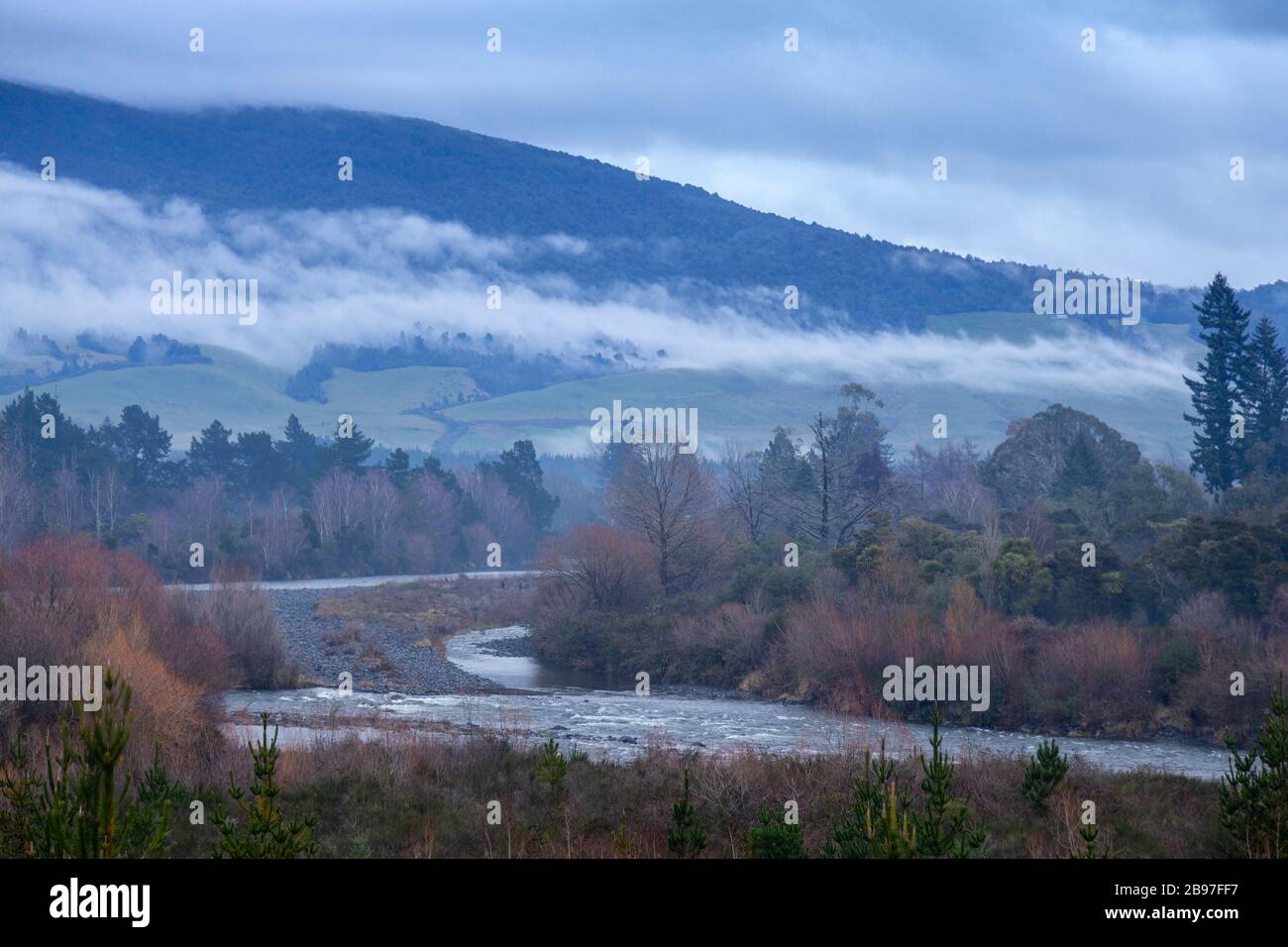 Turangi hi-res stock photography and images - Alamy