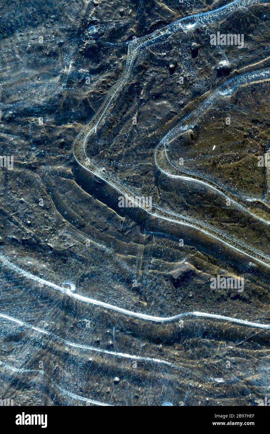 Turangi hi-res stock photography and images - Alamy