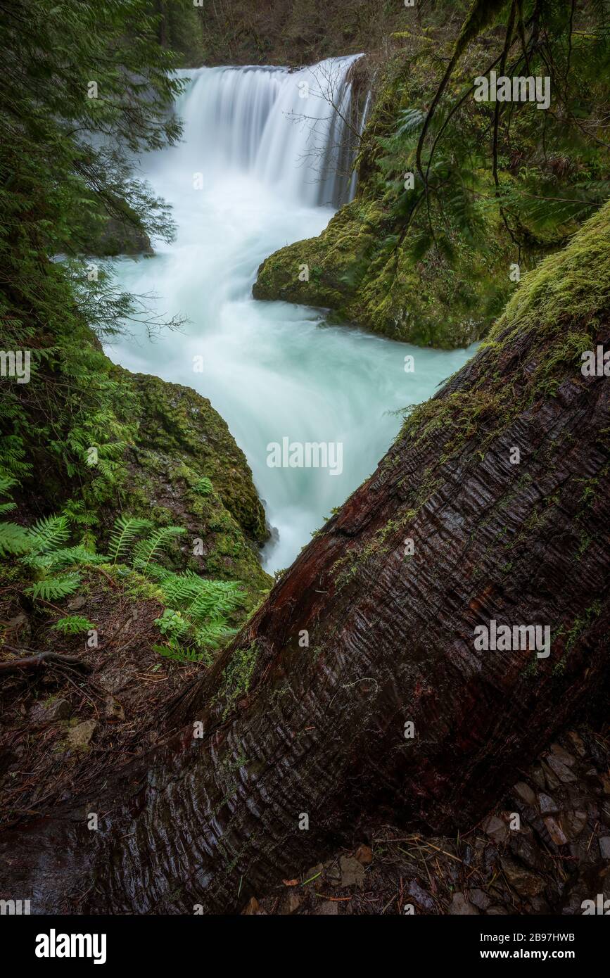 Washington spirit hi-res stock photography and images - Alamy