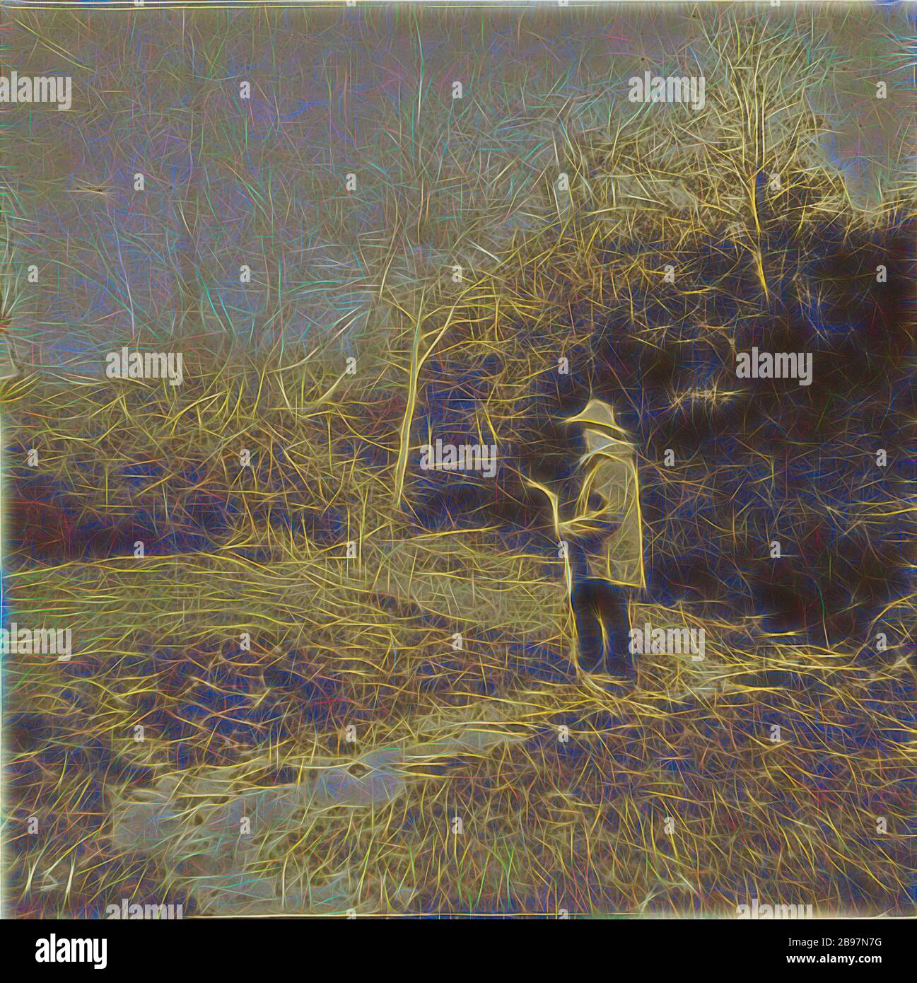 Crooked walking stick hi-res stock photography and images - Alamy