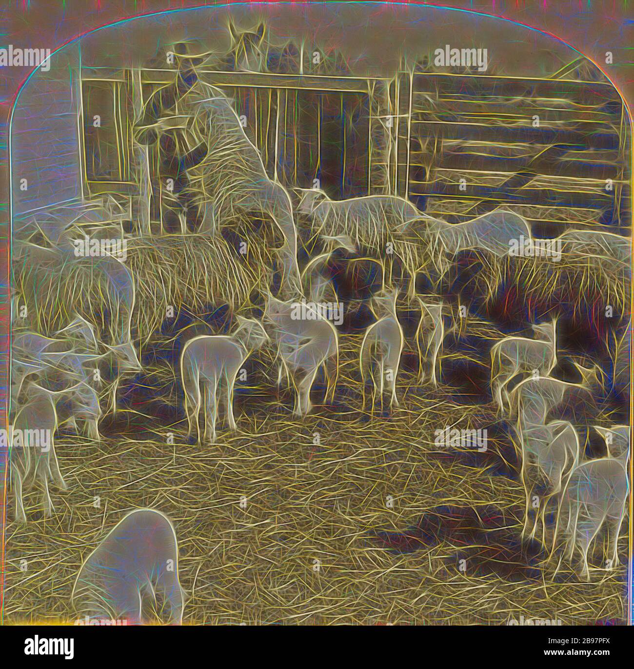 Without blemish hi-res stock photography and images - Alamy