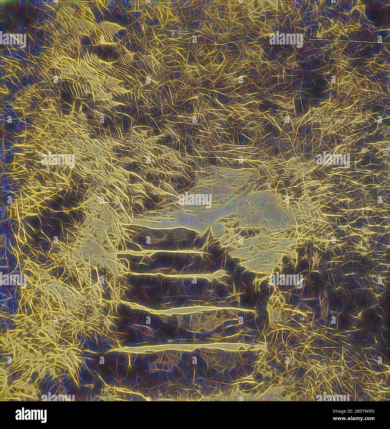 Lynn palmer hi-res stock photography and images - Alamy