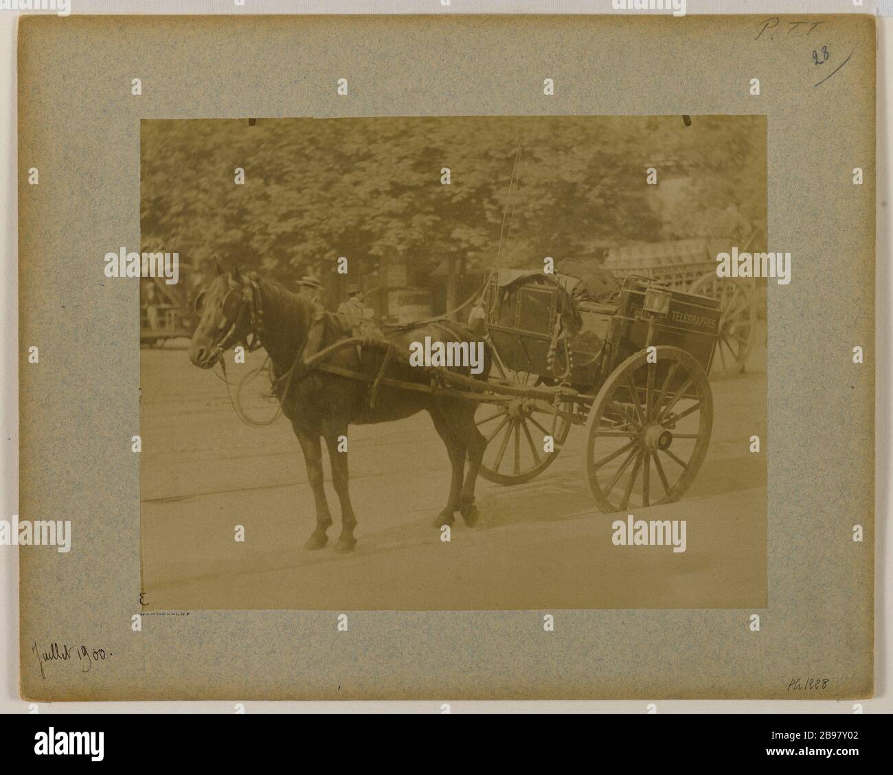 Cheval et voiture hi-res stock photography and images - Alamy