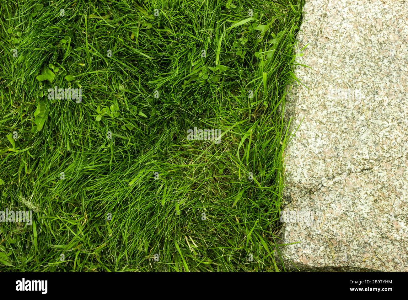 Grass and stone down. Top view Stock Photo - Alamy
