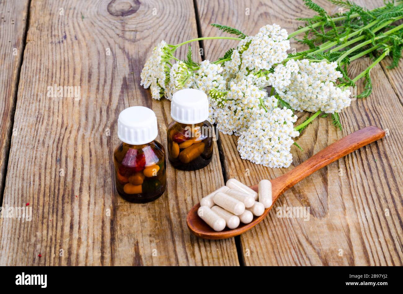 Traditional medicine concept, medicinal plants and herbal capsules ...