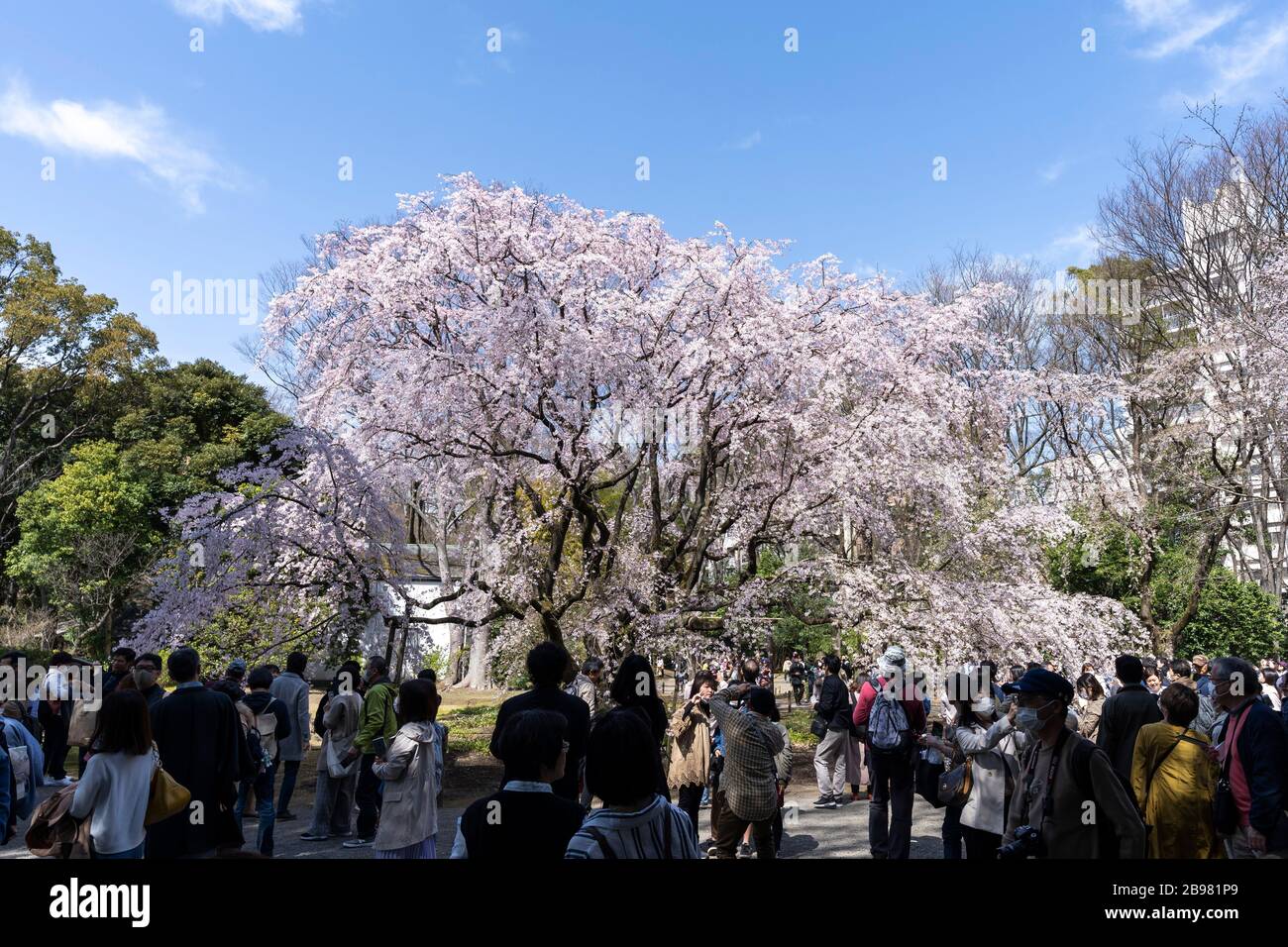 Yanagisawa yoshiyasu hi-res stock photography and images - Alamy