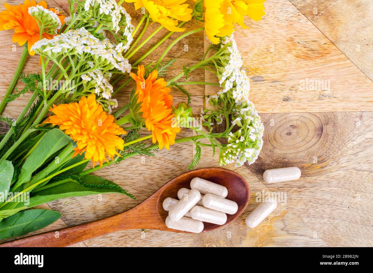 Traditional medicine concept, medicinal plants and herbal capsules ...