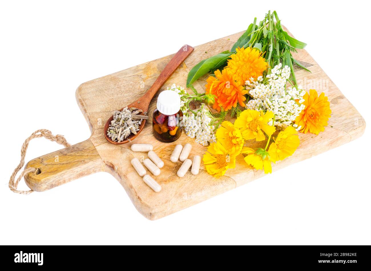 Traditional medicine concept, medicinal plants and herbal capsules ...