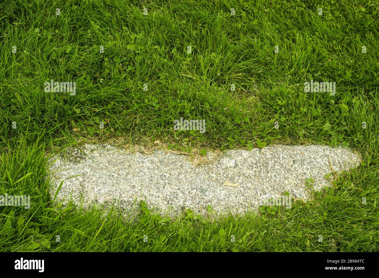 Stone and grass Stock Photo - Alamy