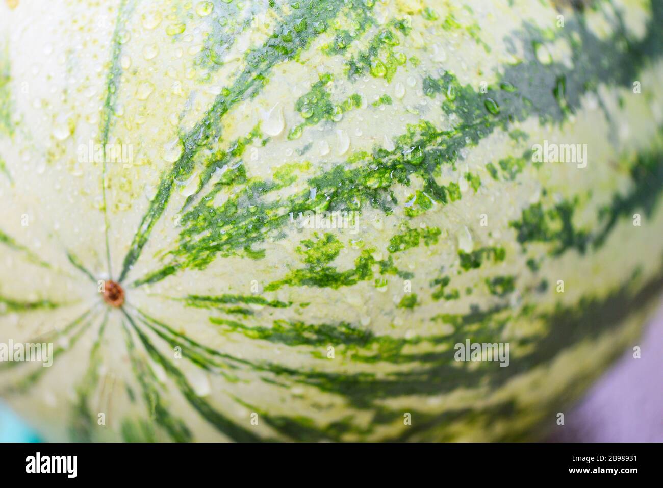 Fresh watermelon with drop of water nature background / Close up ...