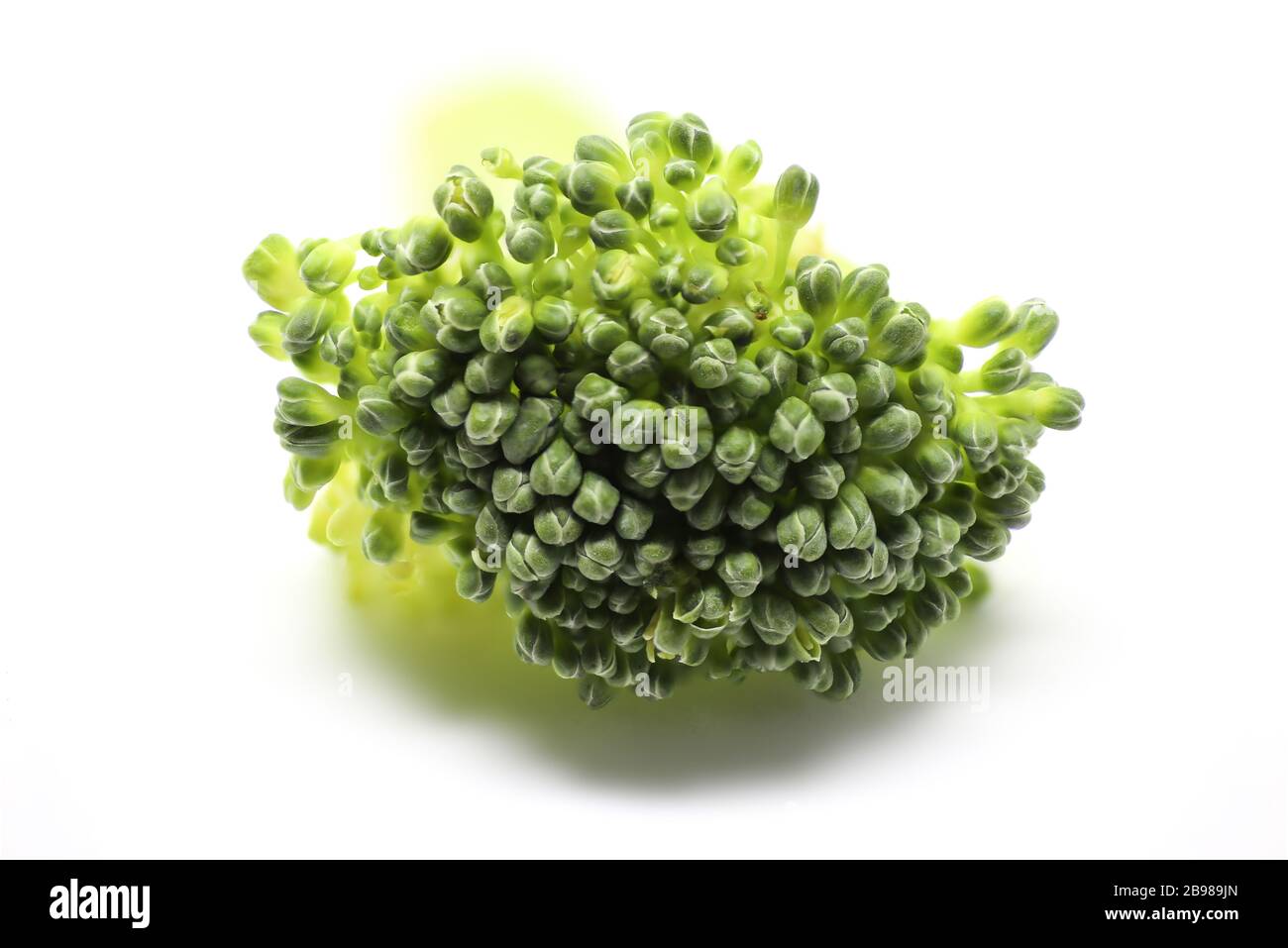 Raw Broccoli stalks Stock Photo - Alamy