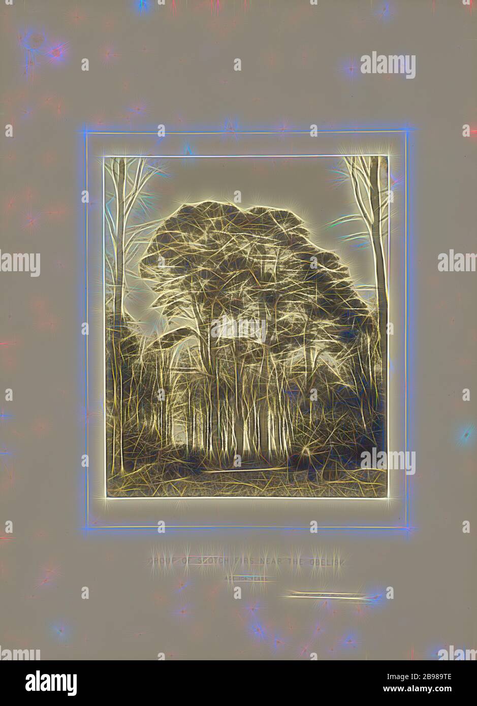 William bambridge hi-res stock photography and images - Alamy