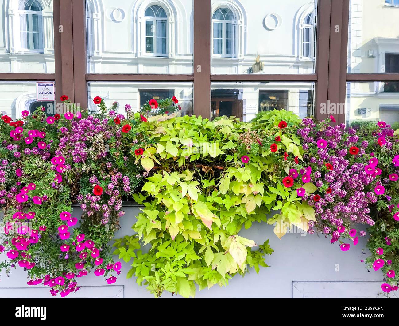 Facades and windows of buildings decorated with flowers. Studio Photo ...