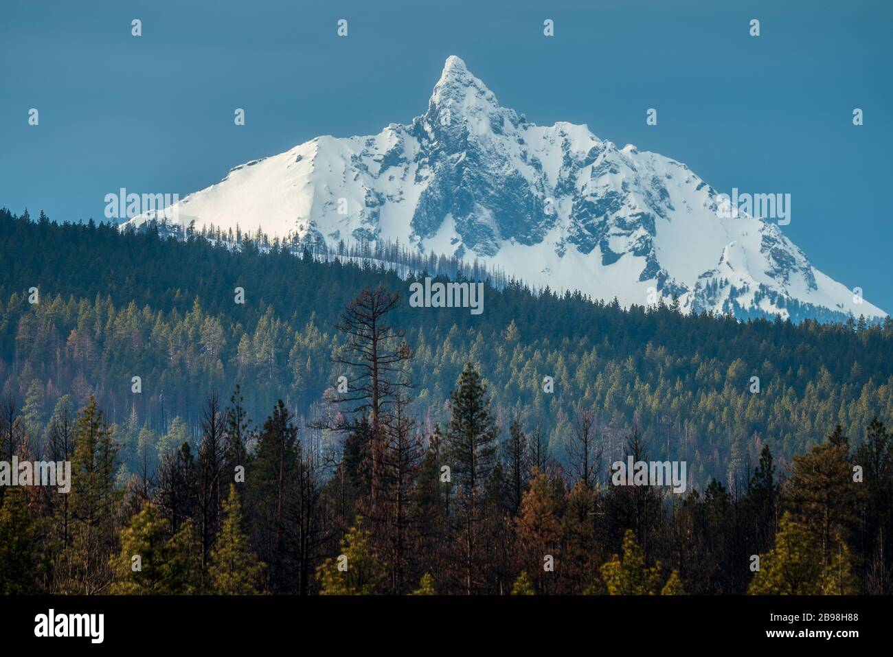 Mountain in Oregon at Mt Washington Stock Photo - Alamy