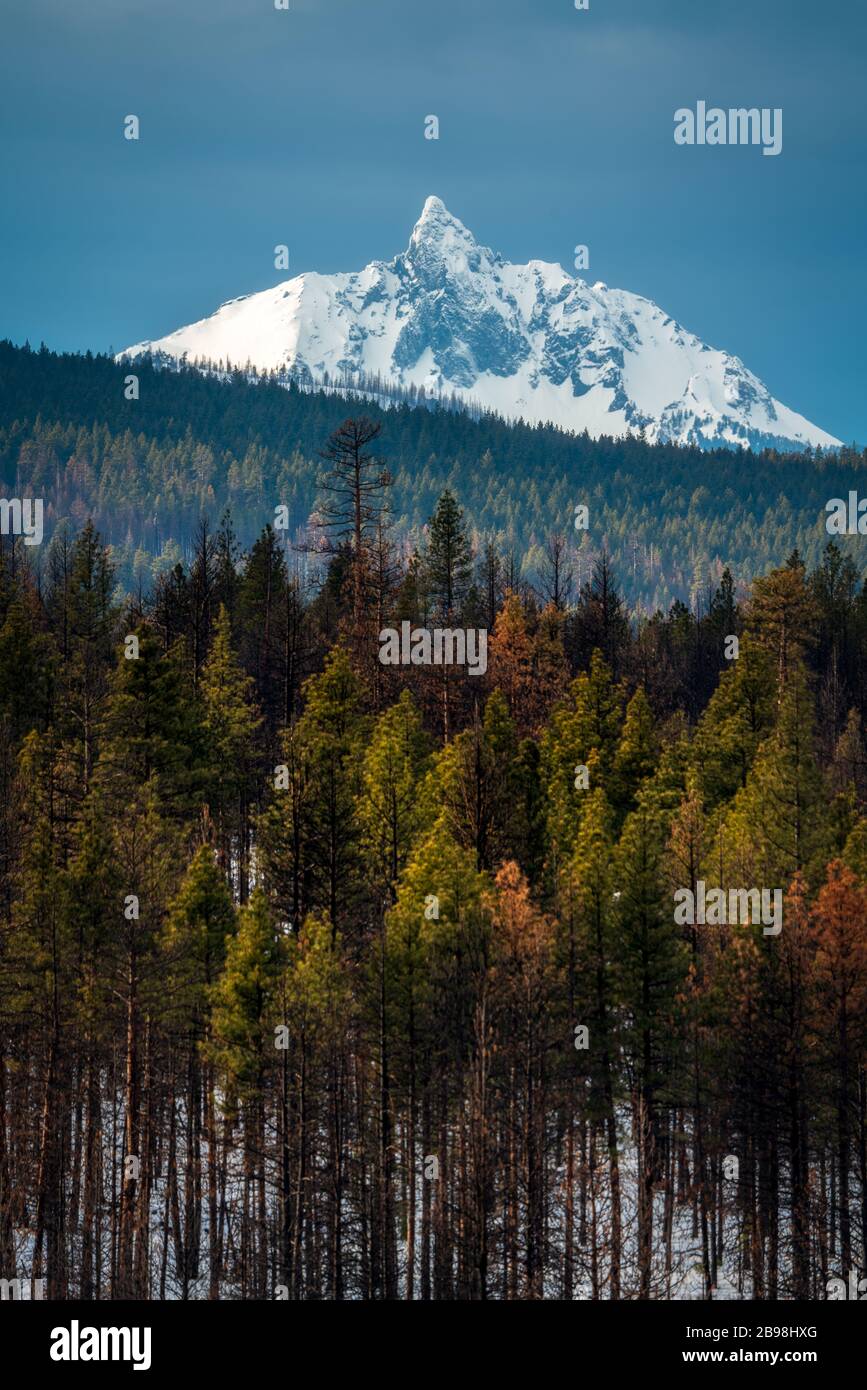 Mountains in Oregon at Mt Washington Stock Photo - Alamy