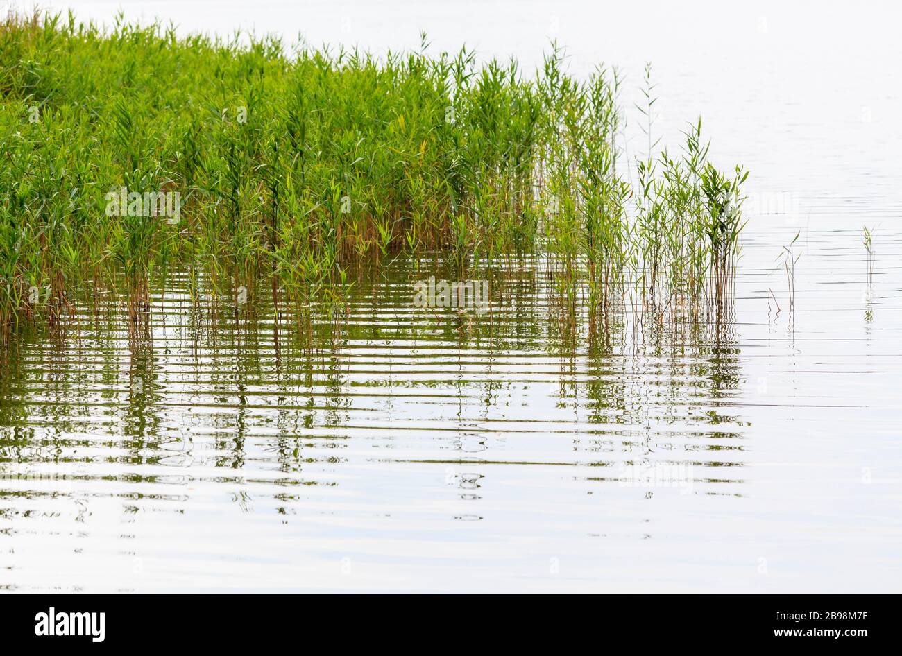Environmental tourism ponds hi-res stock photography and images - Alamy