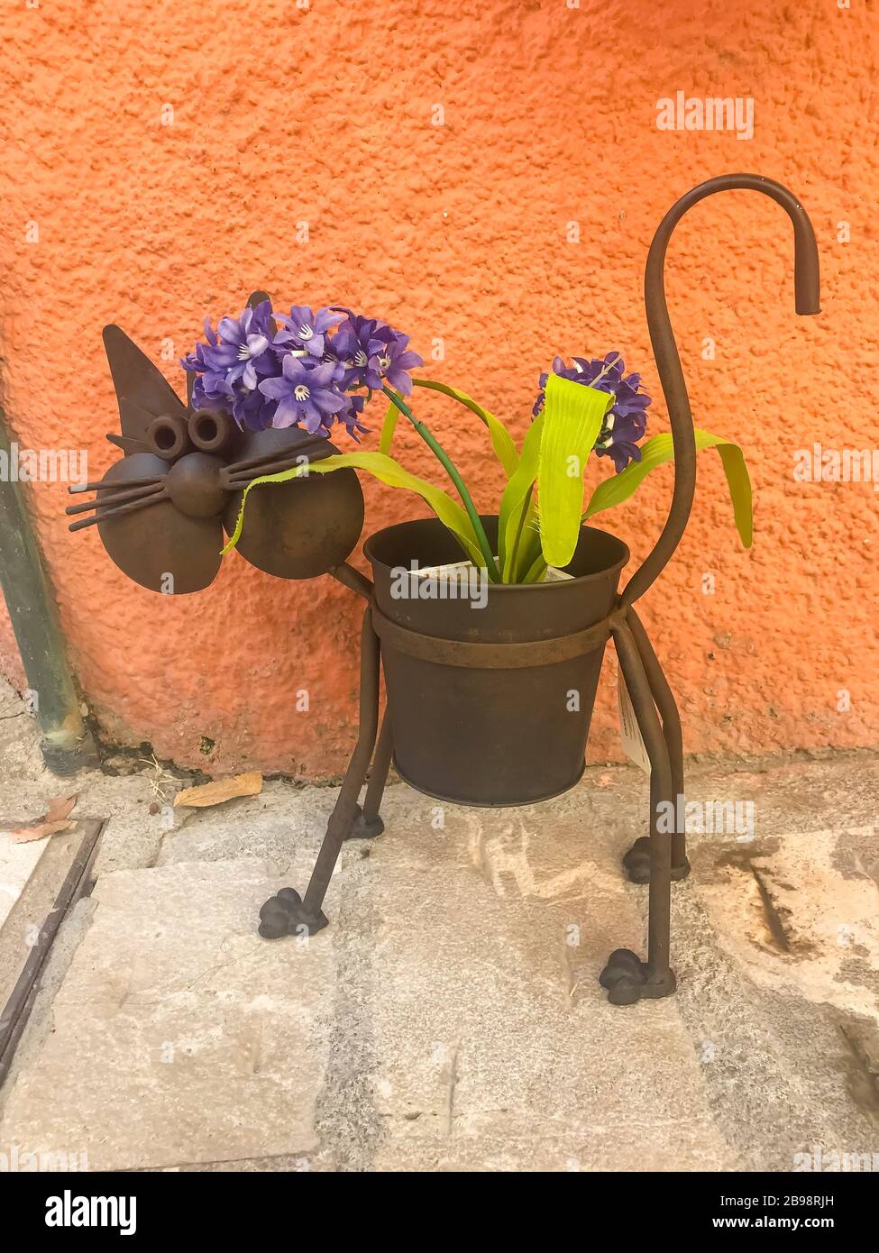 Flowering plants and potted flowers decorating building facades. Studio ...