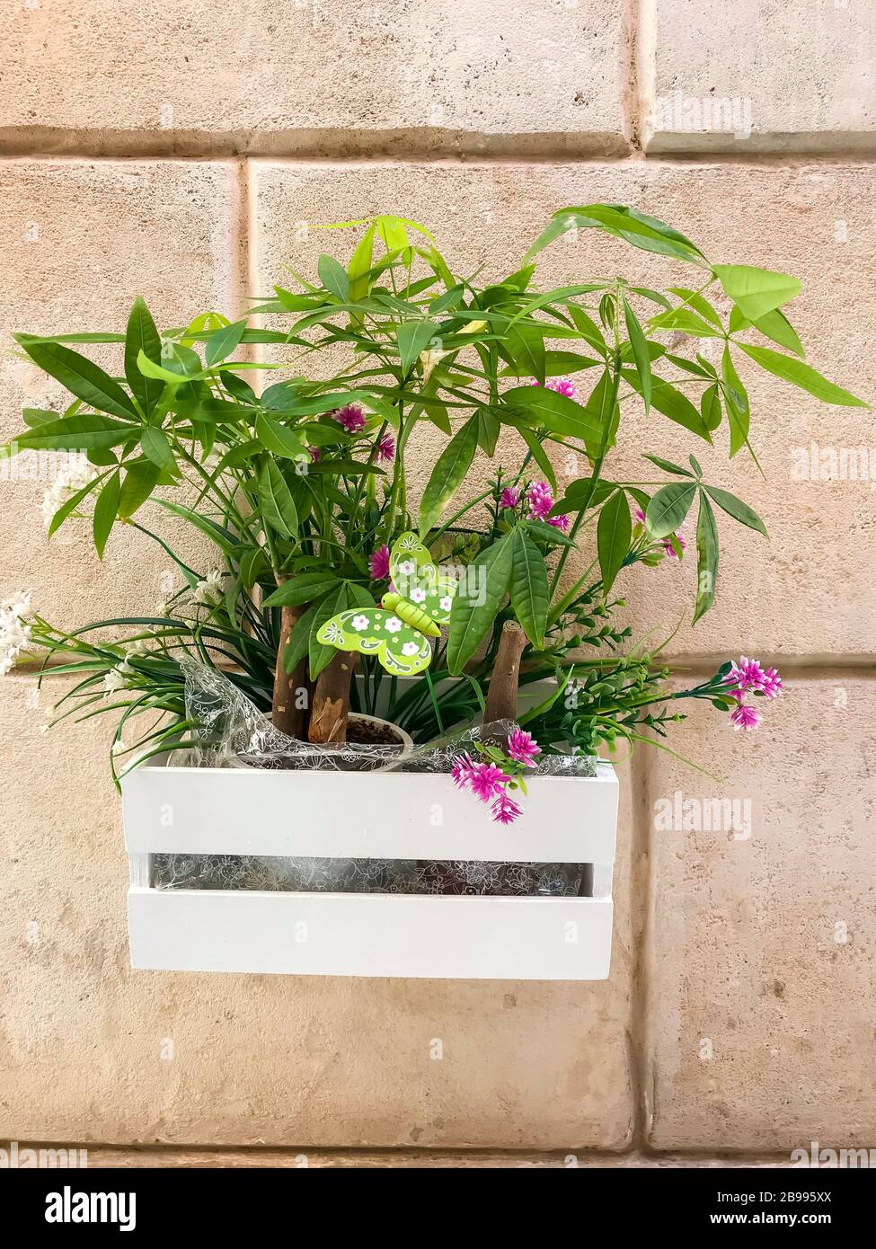 Flowering plants and potted flowers decorating building facades. Studio ...