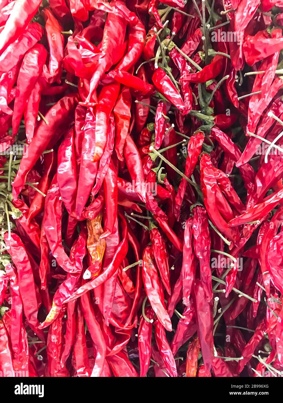 Background of dried hot peppers of different colors. Studio Photo Stock ...