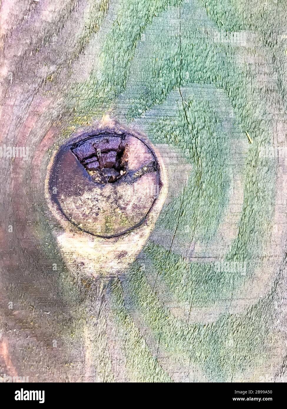 Impregnated surface hi-res stock photography and images - Alamy