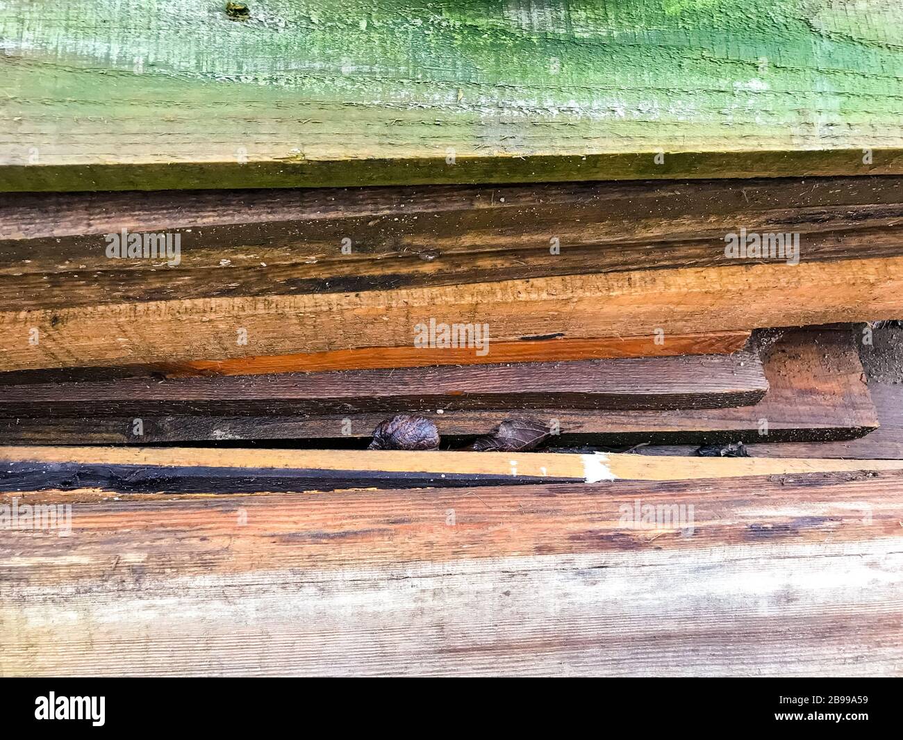 Impregnated timber hi-res stock photography and images - Alamy