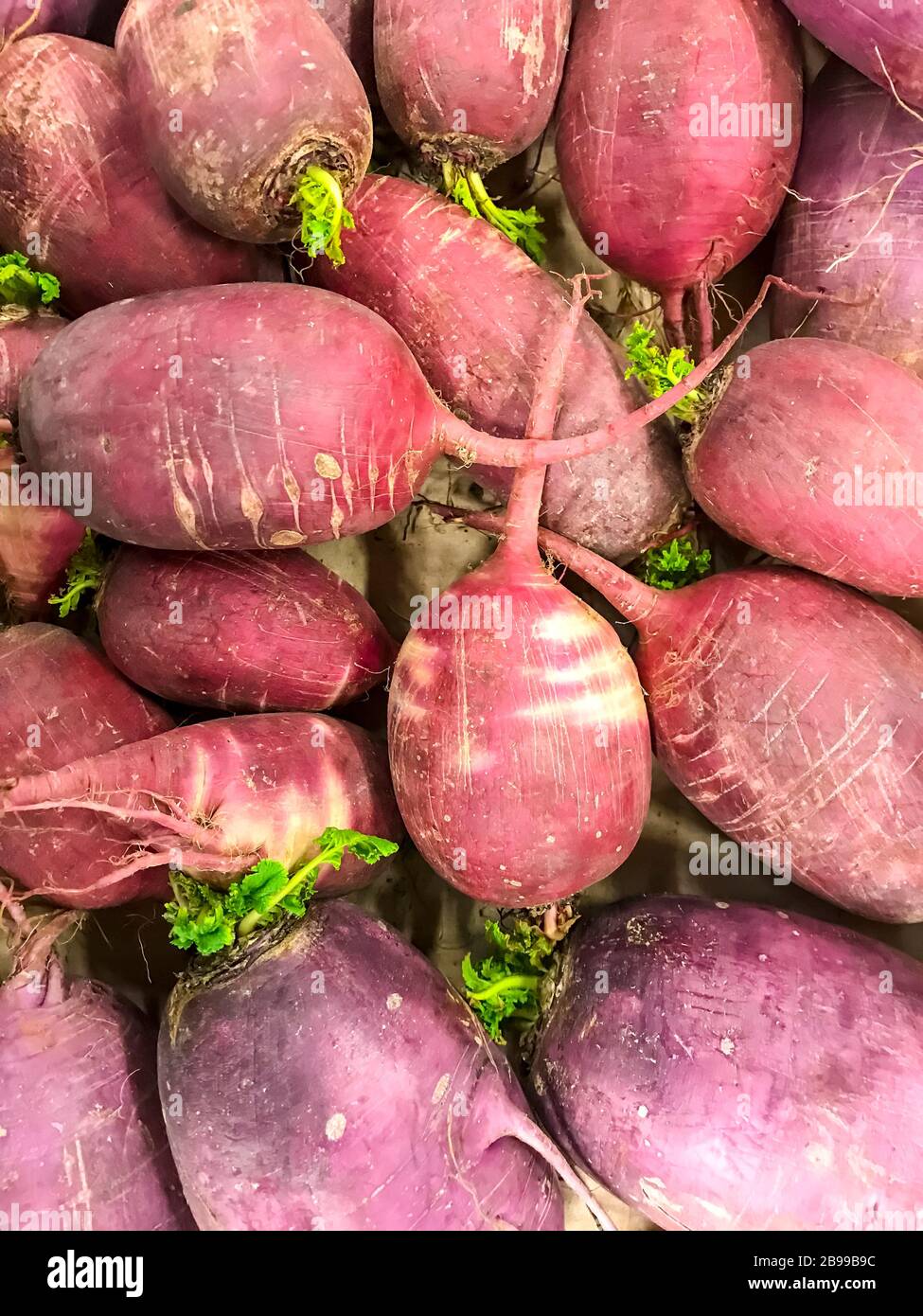 Fresh farm natural vegetables, daikon, Non-GMO. Studio Photo Stock ...