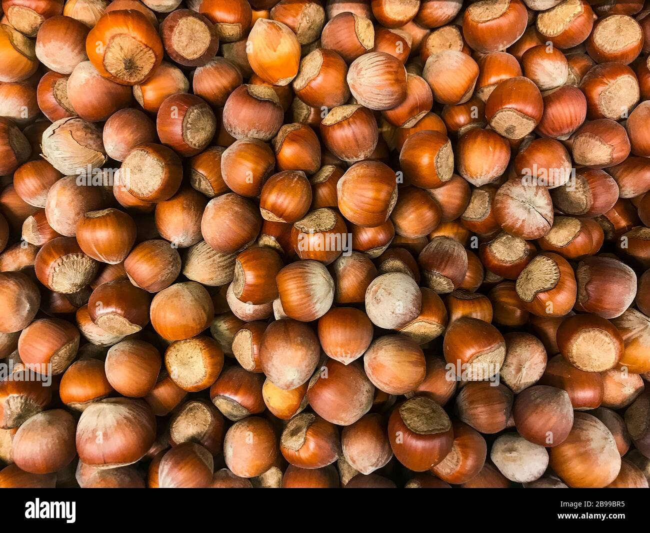 Hazelnut food background. Heap of unpeeled hazelnuts.Studio Photo Stock Photo - Alamy